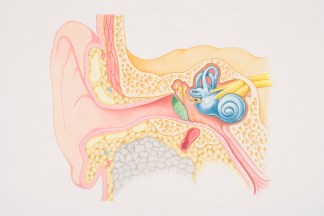 Why do our ears pop on a plane? An audiologist explains. – modern-science